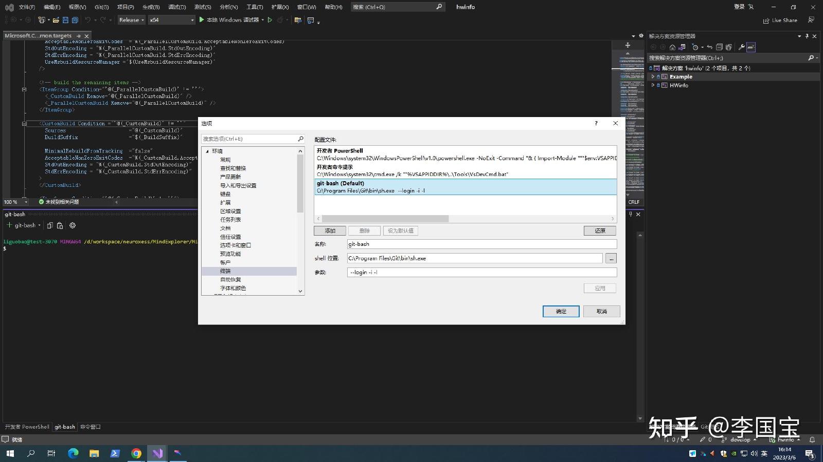 Add Git Bash to Terminal in Visual Studio